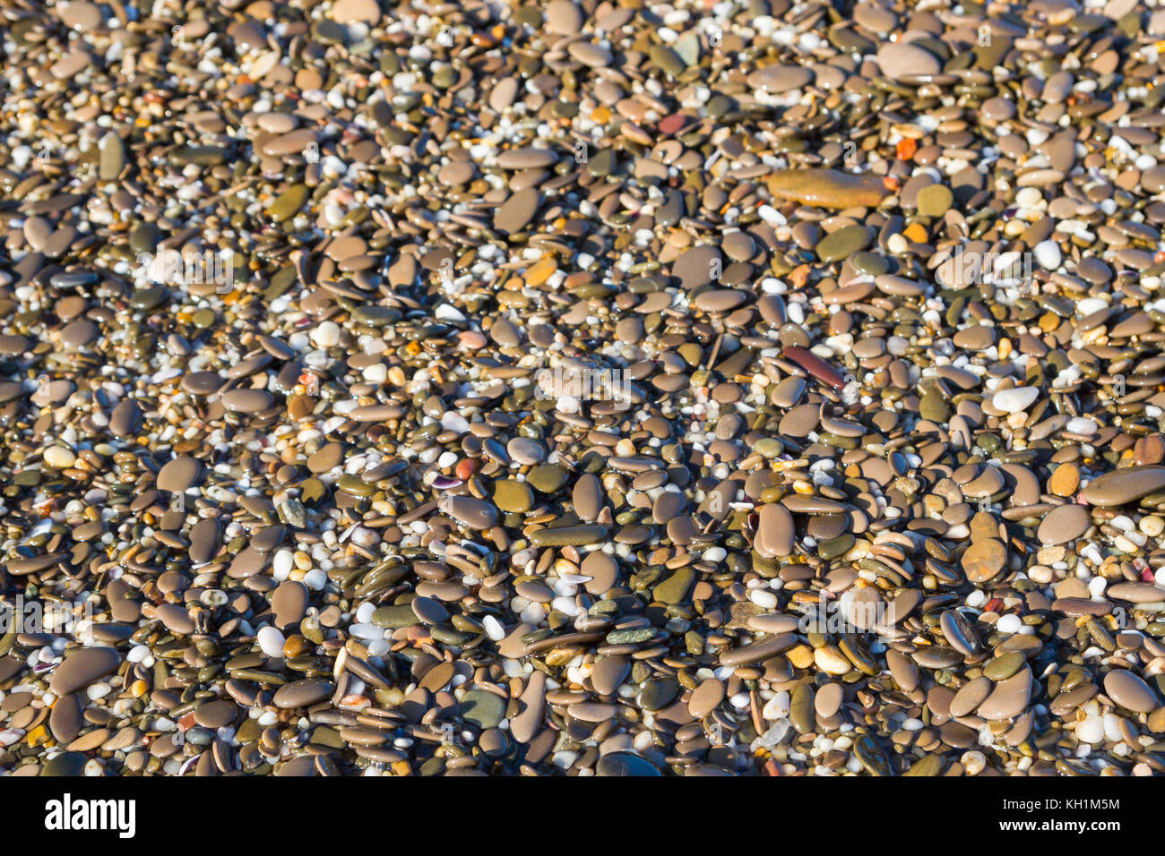 Sea stones on the beach in the summer Stock Photo - Alamy