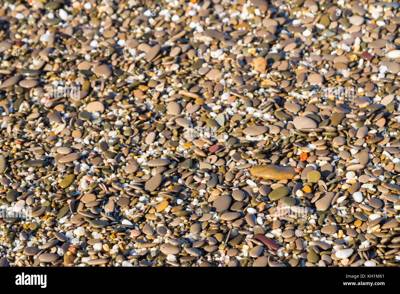 Sea stones on the beach in the summer Stock Photo - Alamy