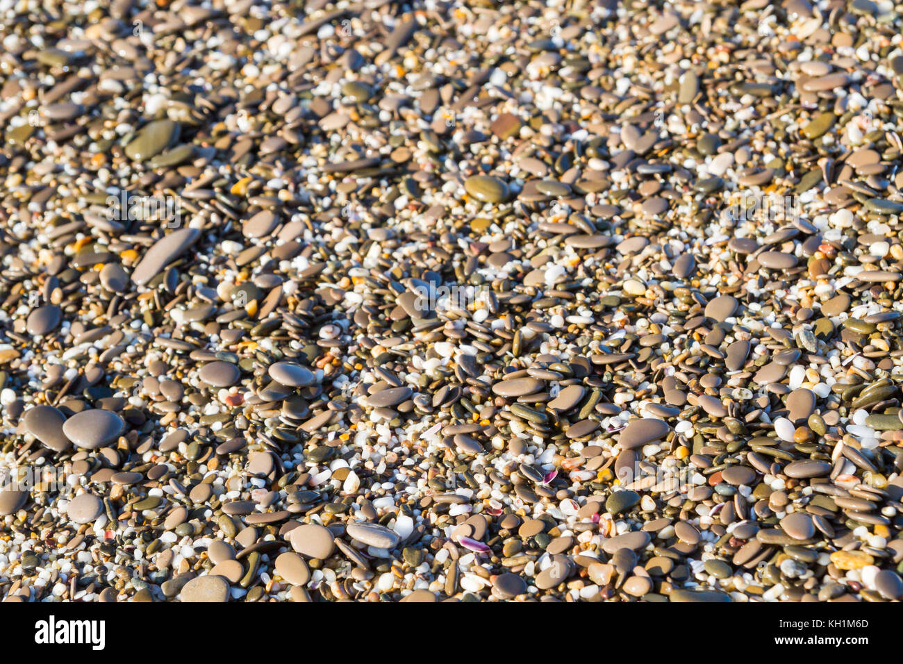 Sea stones on the beach in the summer Stock Photo - Alamy
