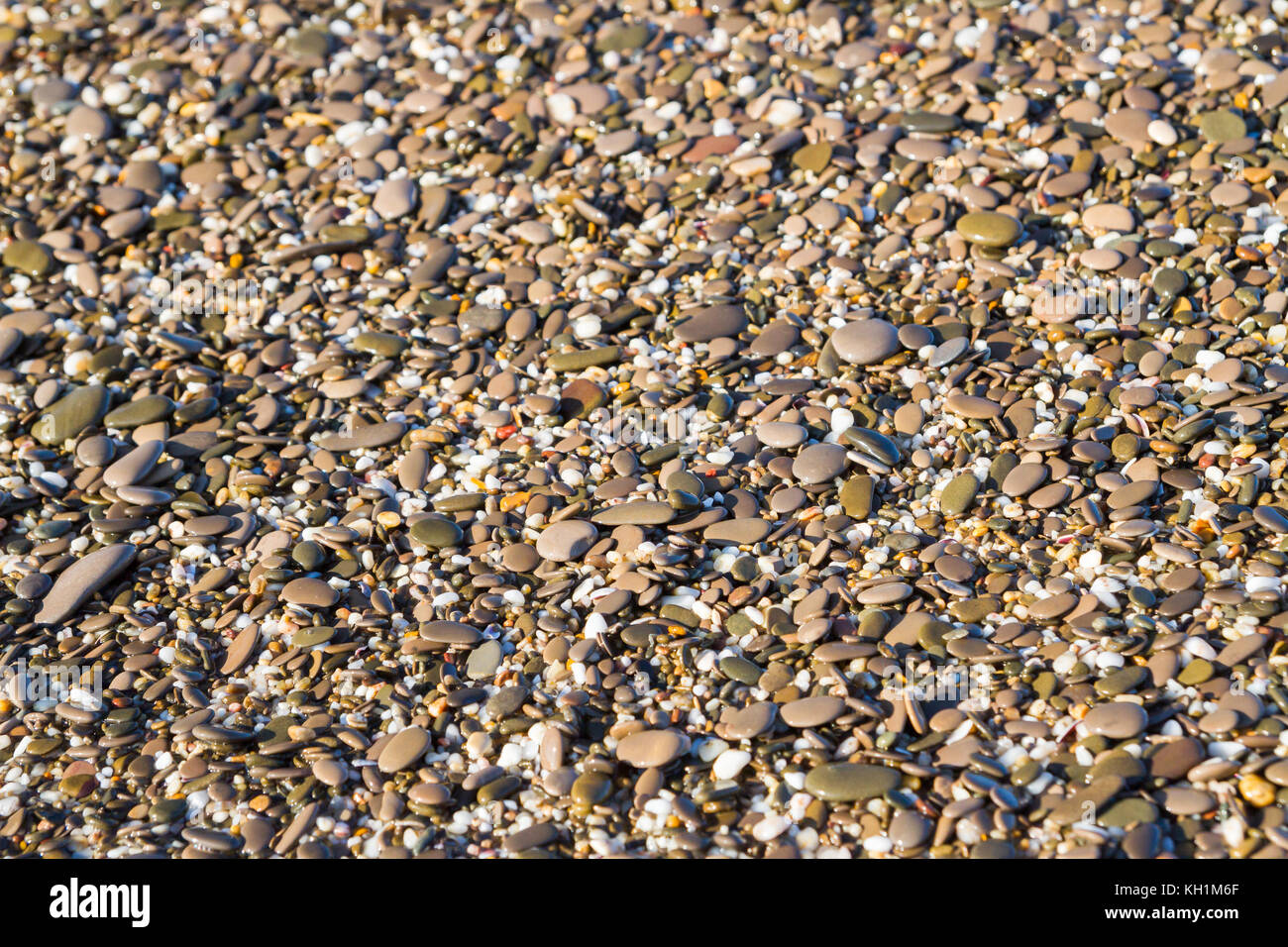 Sea stones on the beach in the summer Stock Photo - Alamy