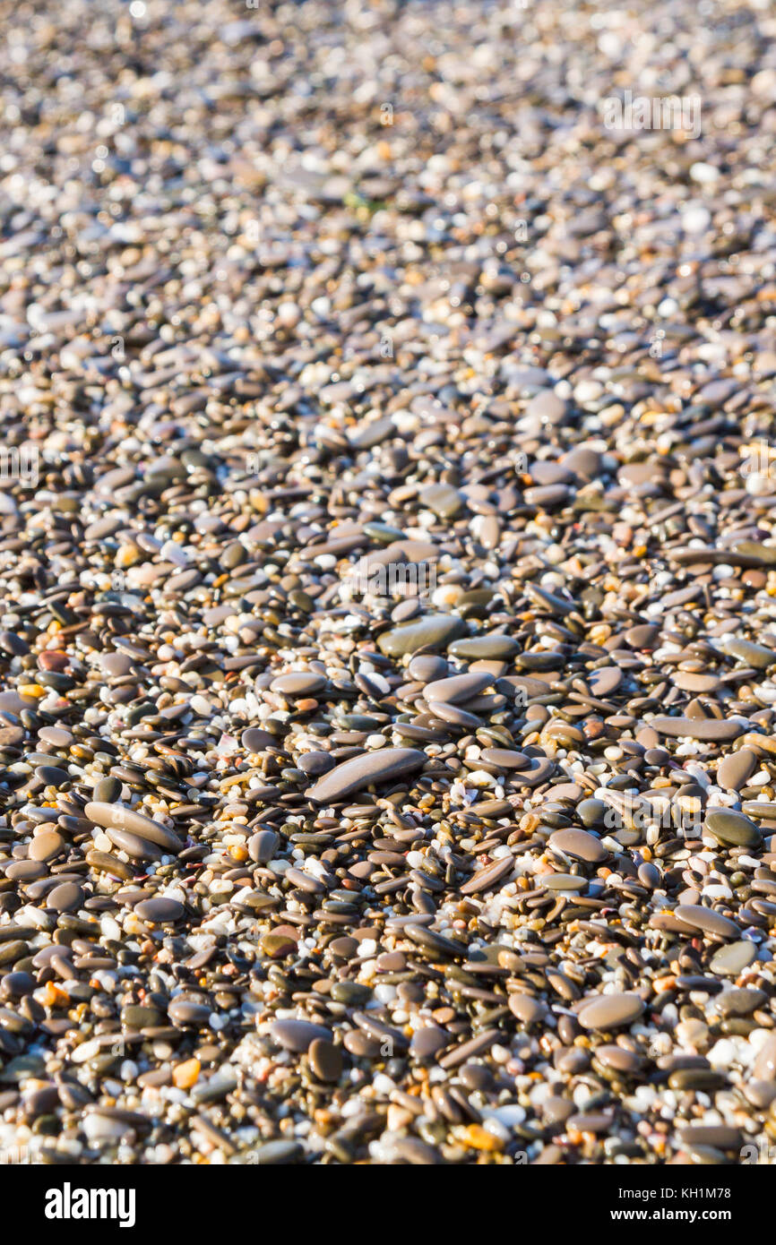 Sea stones on the beach in the summer Stock Photo - Alamy