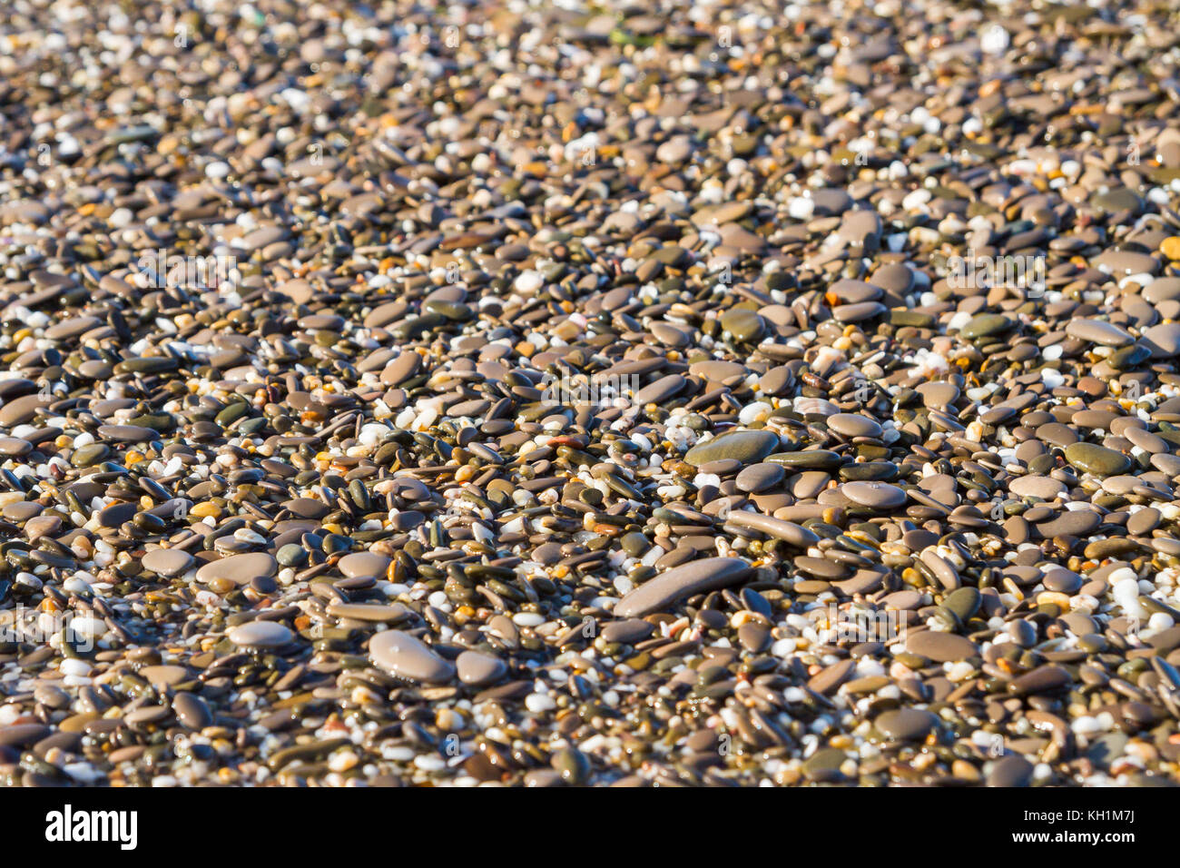 Sea stones on the beach in the summer Stock Photo - Alamy
