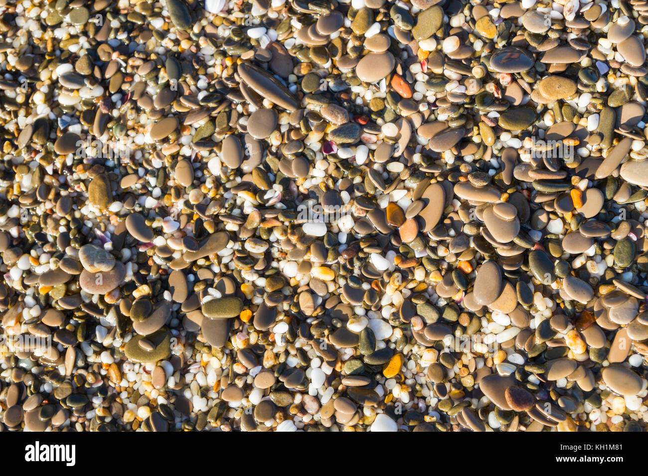 Sea stones on the beach in the summer Stock Photo - Alamy