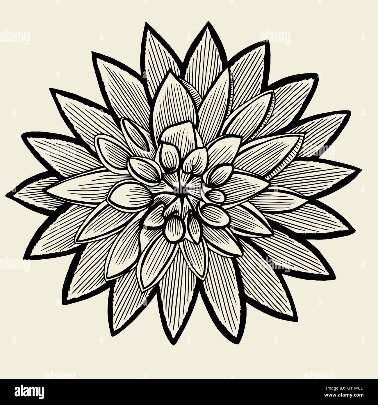 Flowers. Hand drawn sketch flower, floral pattern. Vector illustration ...