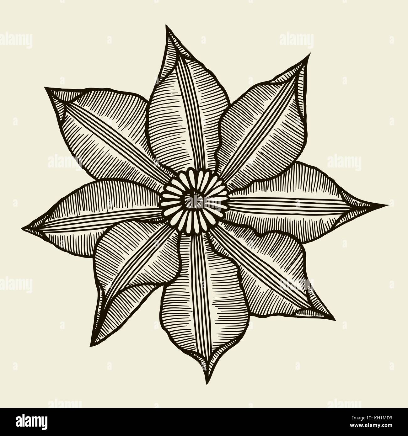 Flowers. Hand drawn sketch flower, floral pattern. Vector illustration ...