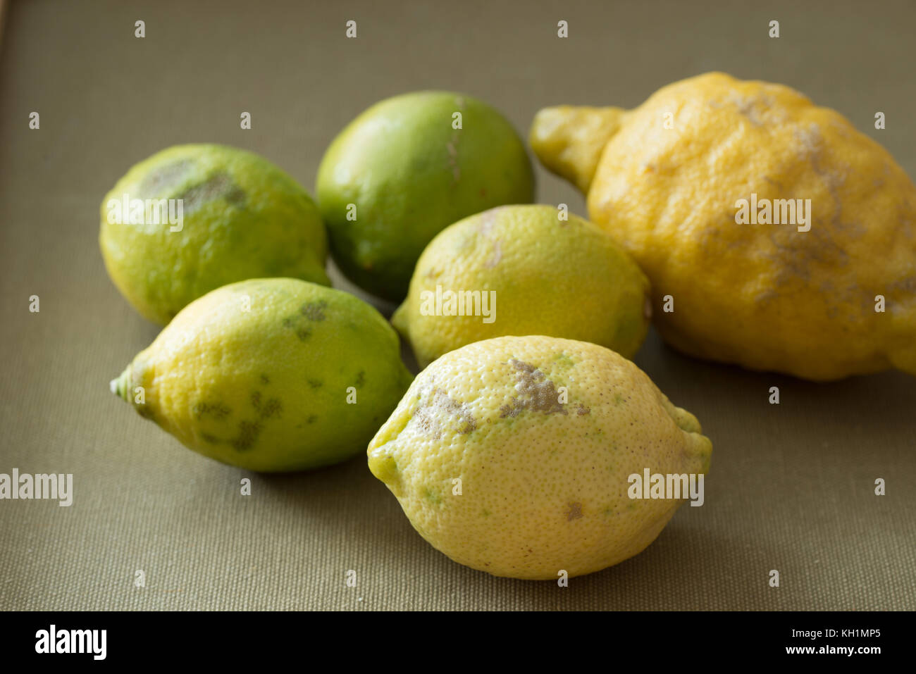 Lemon Fruits Organic Architecture Stock Photo - Alamy