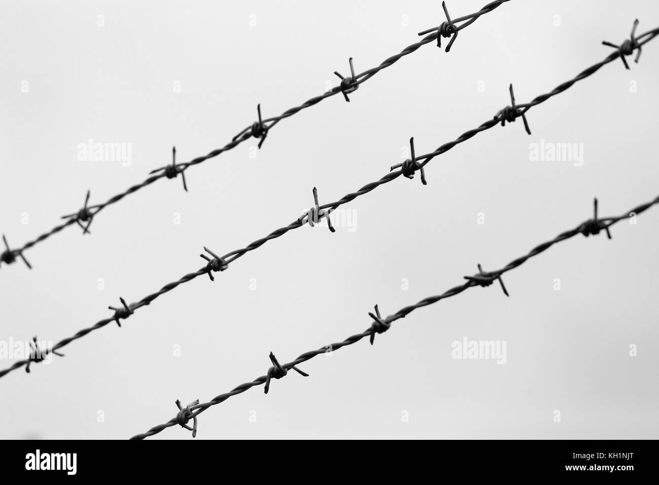 three lines of barbed wire along the border with dramatic black and ...