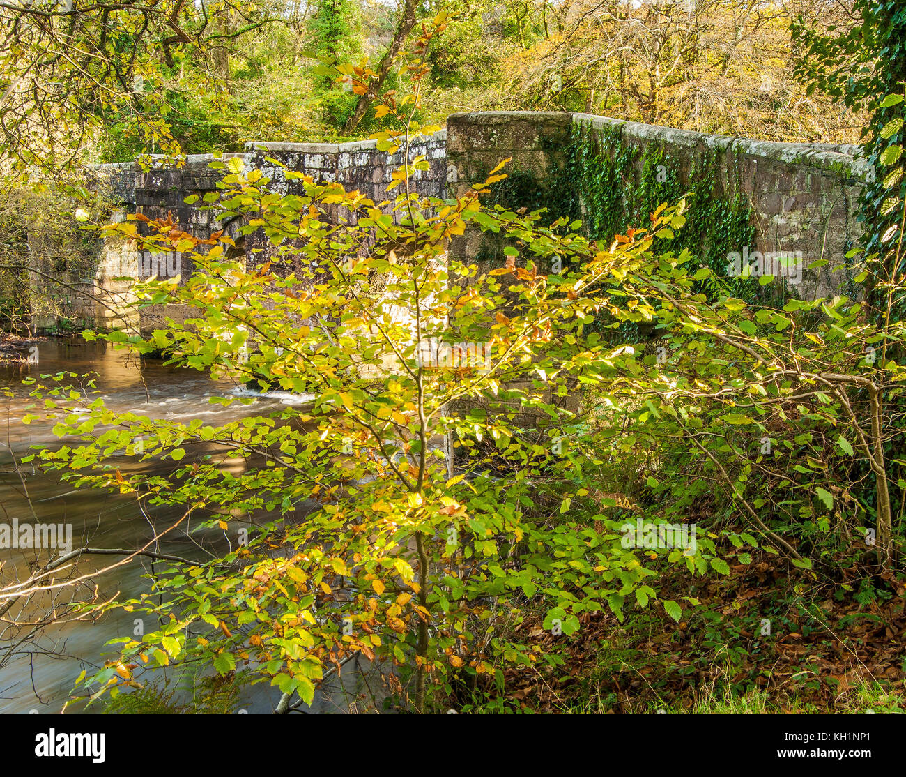 Respryn Bridge is a five arched mediæval bridge spanning the River ...