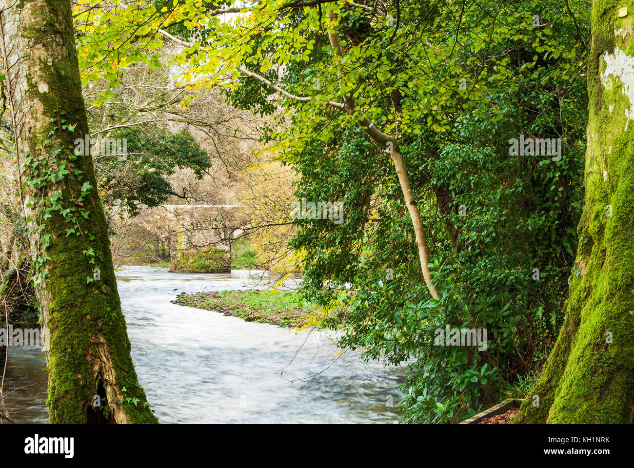 Respryn Bridge is a five arched mediæval bridge spanning the River ...