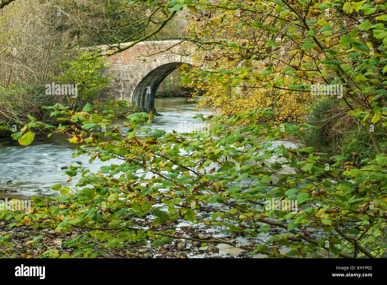 Respryn Bridge is a five arched mediæval bridge spanning the River ...