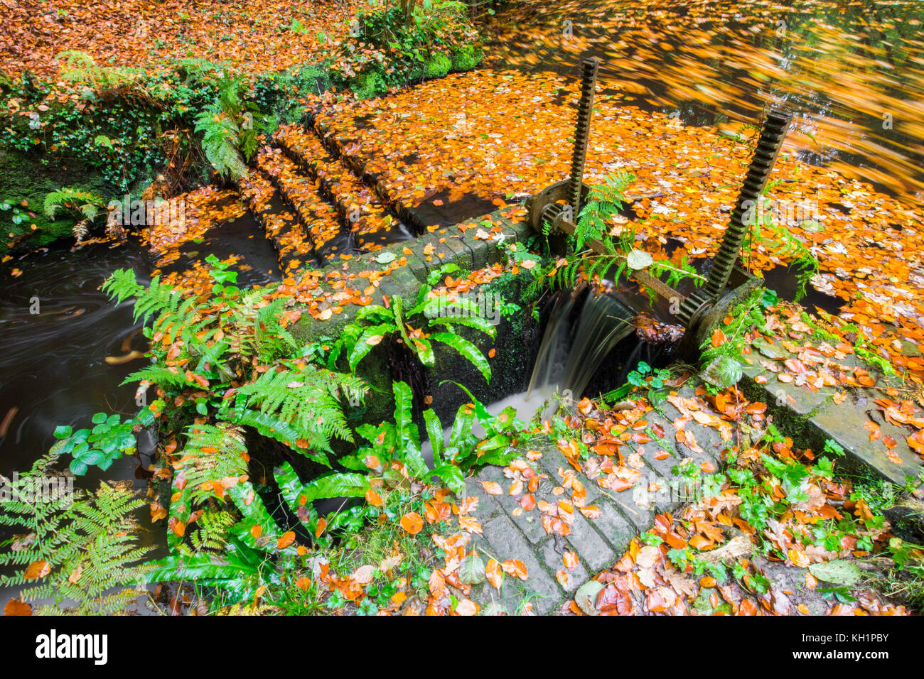Chelwood vachary in the Ashdown Forest, Chelwood Gate, nr Uckfield ...
