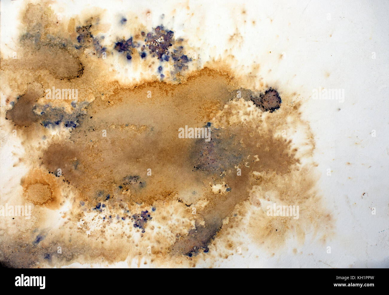 Tea stain background hi-res stock photography and images - Alamy