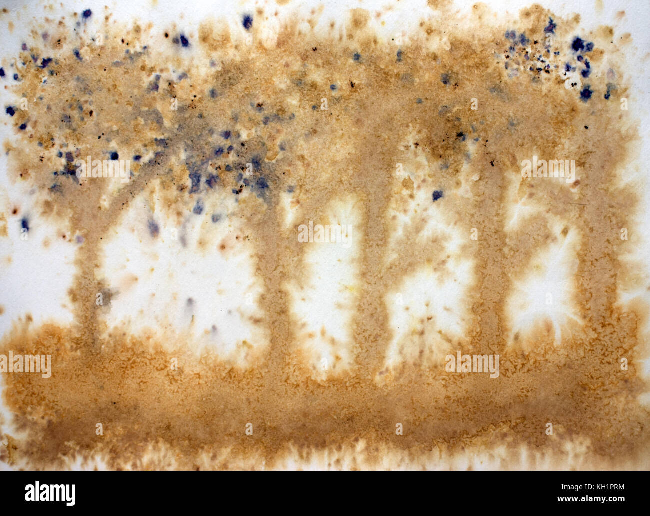Water stain paper texture hi-res stock photography and images - Alamy