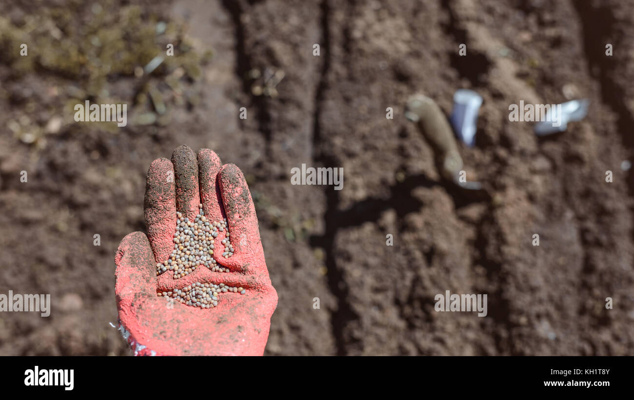 Human agriculture hi-res stock photography and images - Alamy