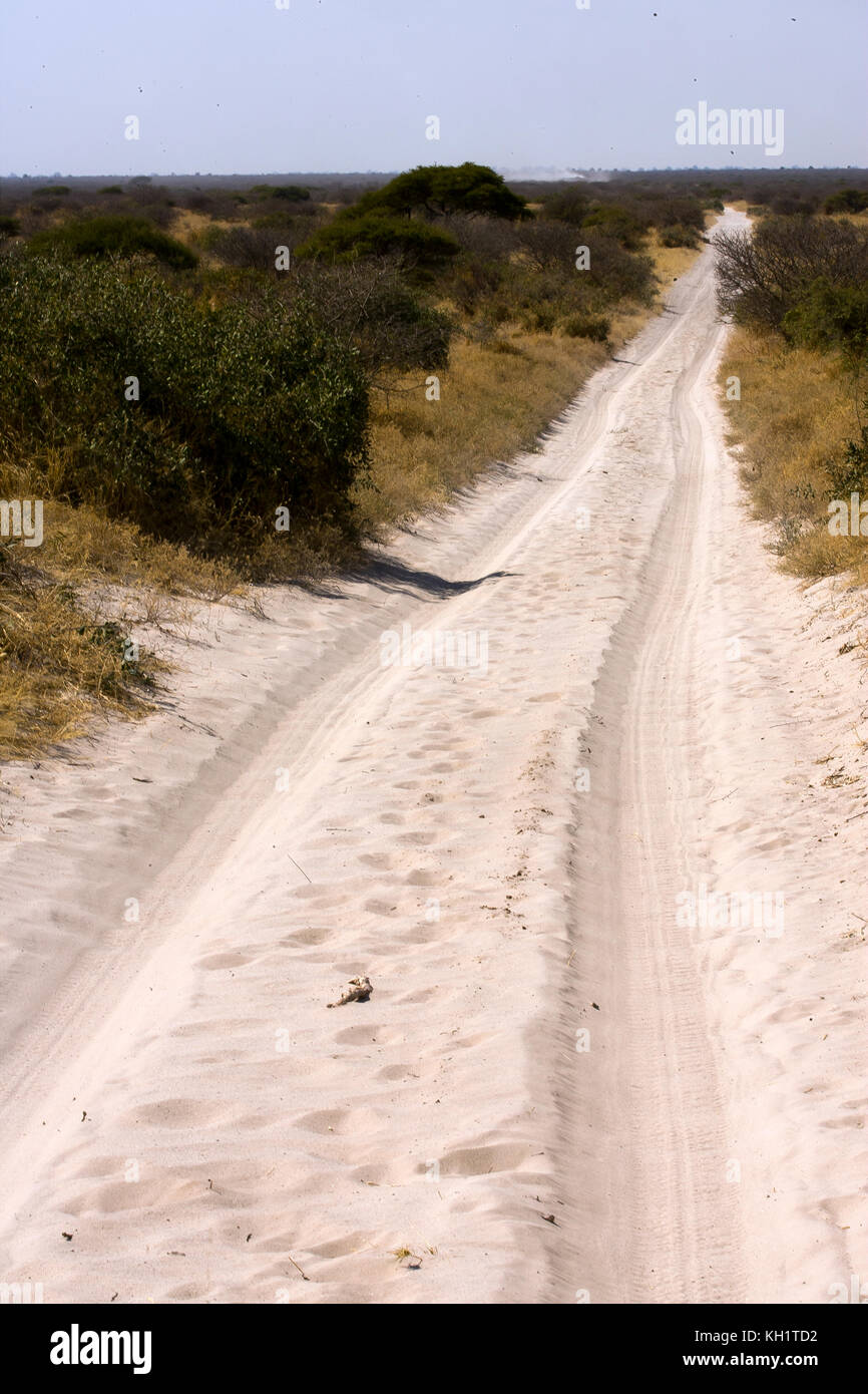 Rough sandy tracks at Central Kalahari Game Reserve, Botswana Stock ...
