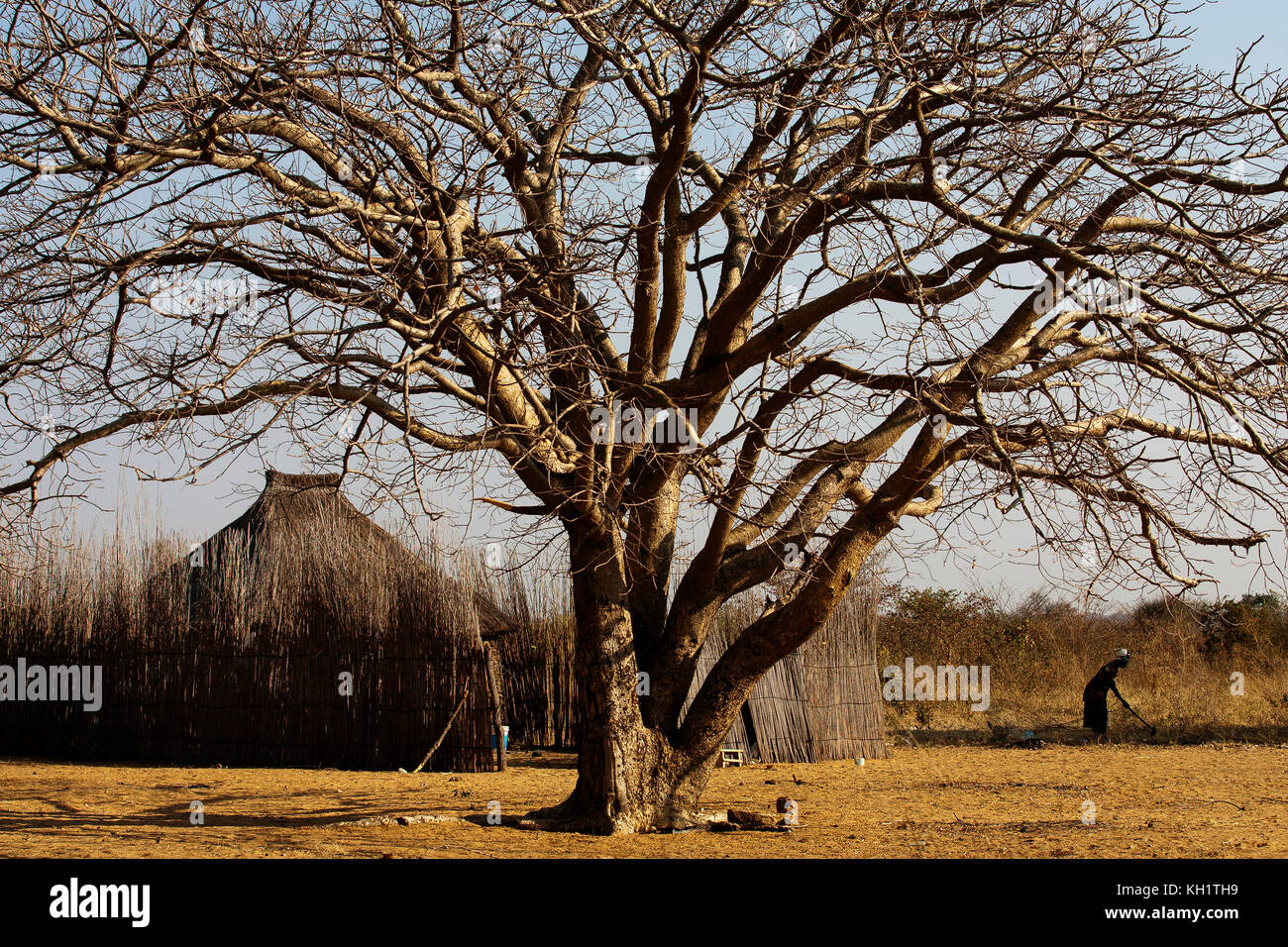 Región caprivi hi-res stock photography and images - Alamy