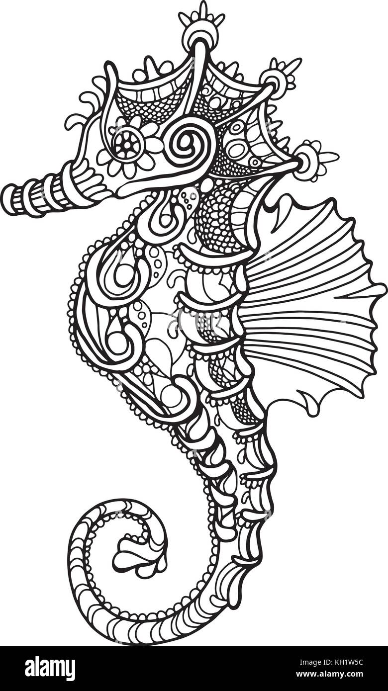 Sea horse starfish underwater Stock Vector Images - Alamy