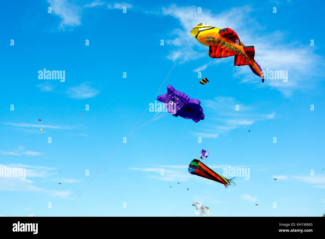 Big kites in the sky in Tsaritsyno Park Stock Photo - Alamy