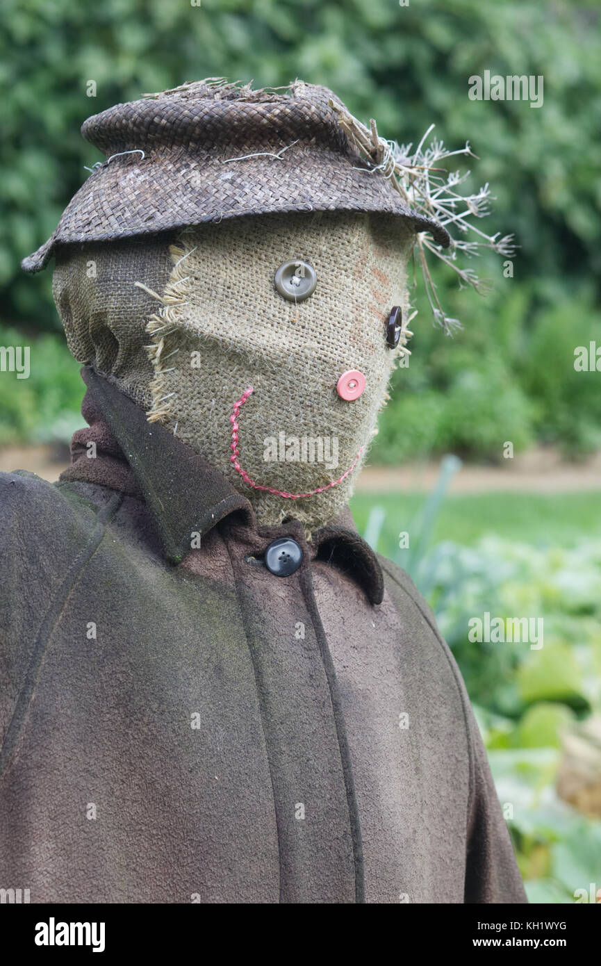Community garden scarecrow hi-res stock photography and images - Alamy