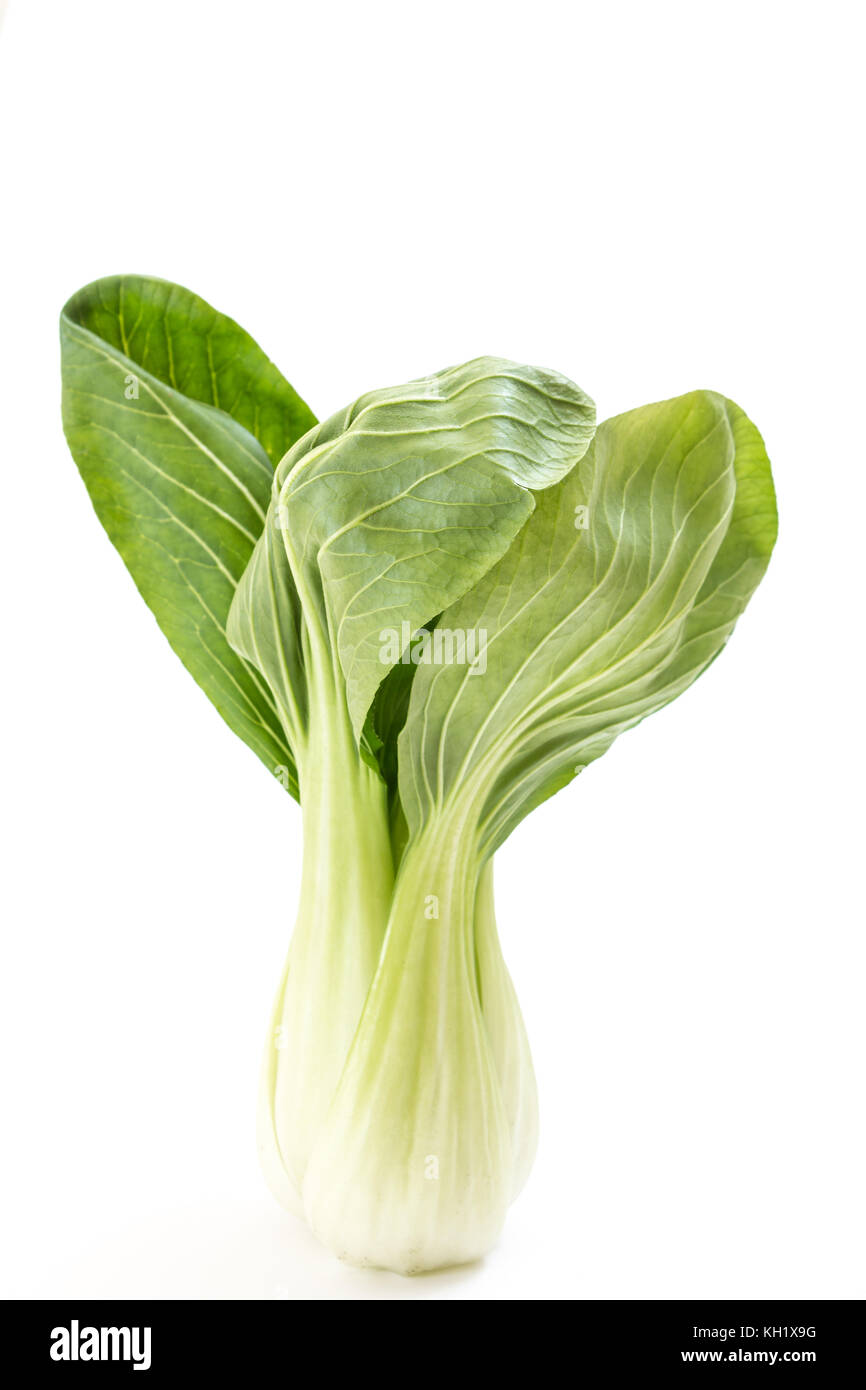 Pak choi white stem hi-res stock photography and images - Alamy