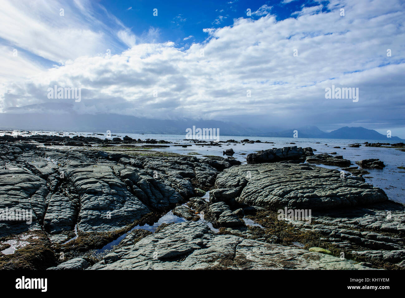 Beautiful limestone formations on the Kaikoura Peninsula, South island ...