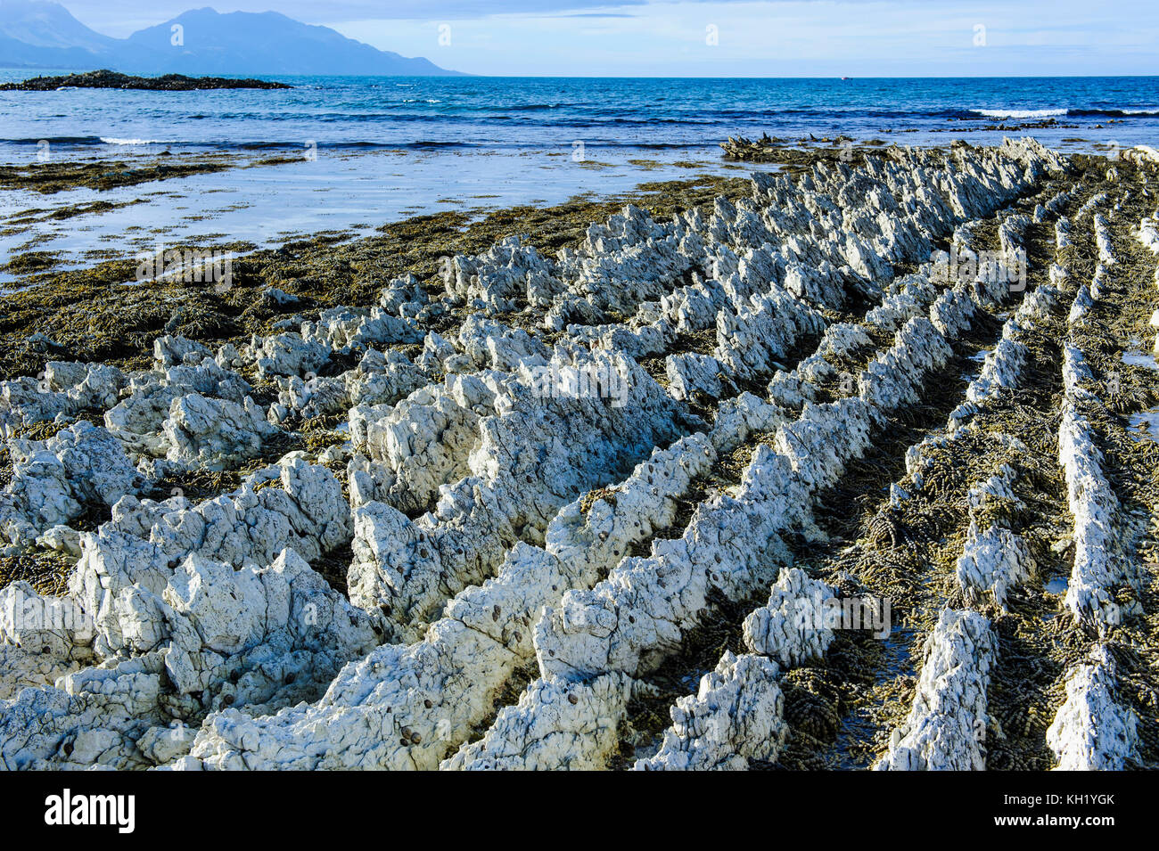 Beautiful limestone formations on the kaikoura peninsula hi-res stock ...