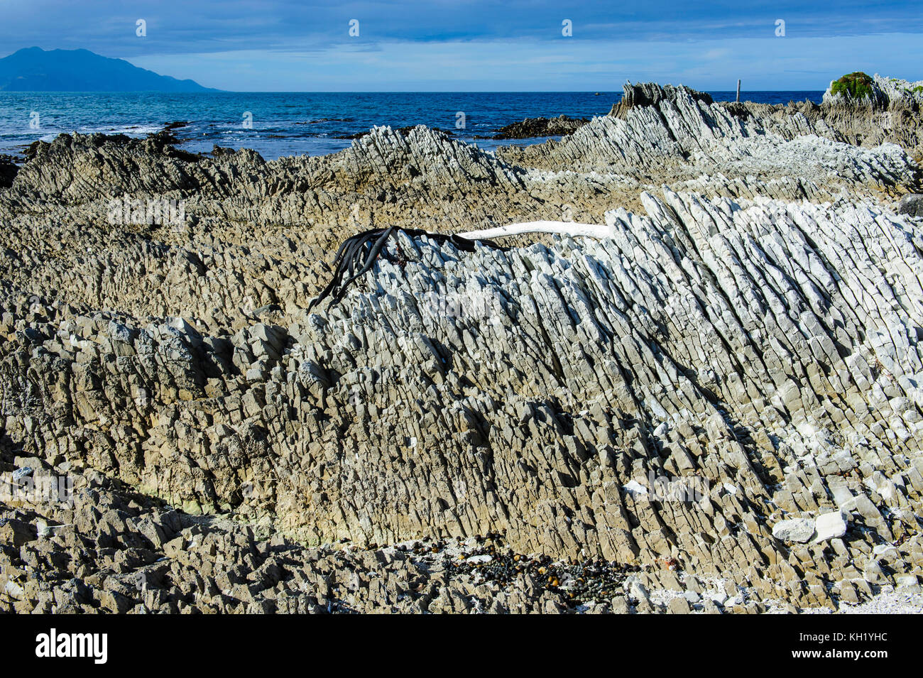 Beautiful limestone formations on the Kaikoura Peninsula, South island ...