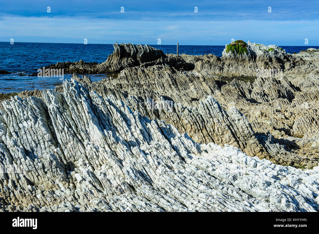 Beautiful limestone formations on the Kaikoura Peninsula, South island ...