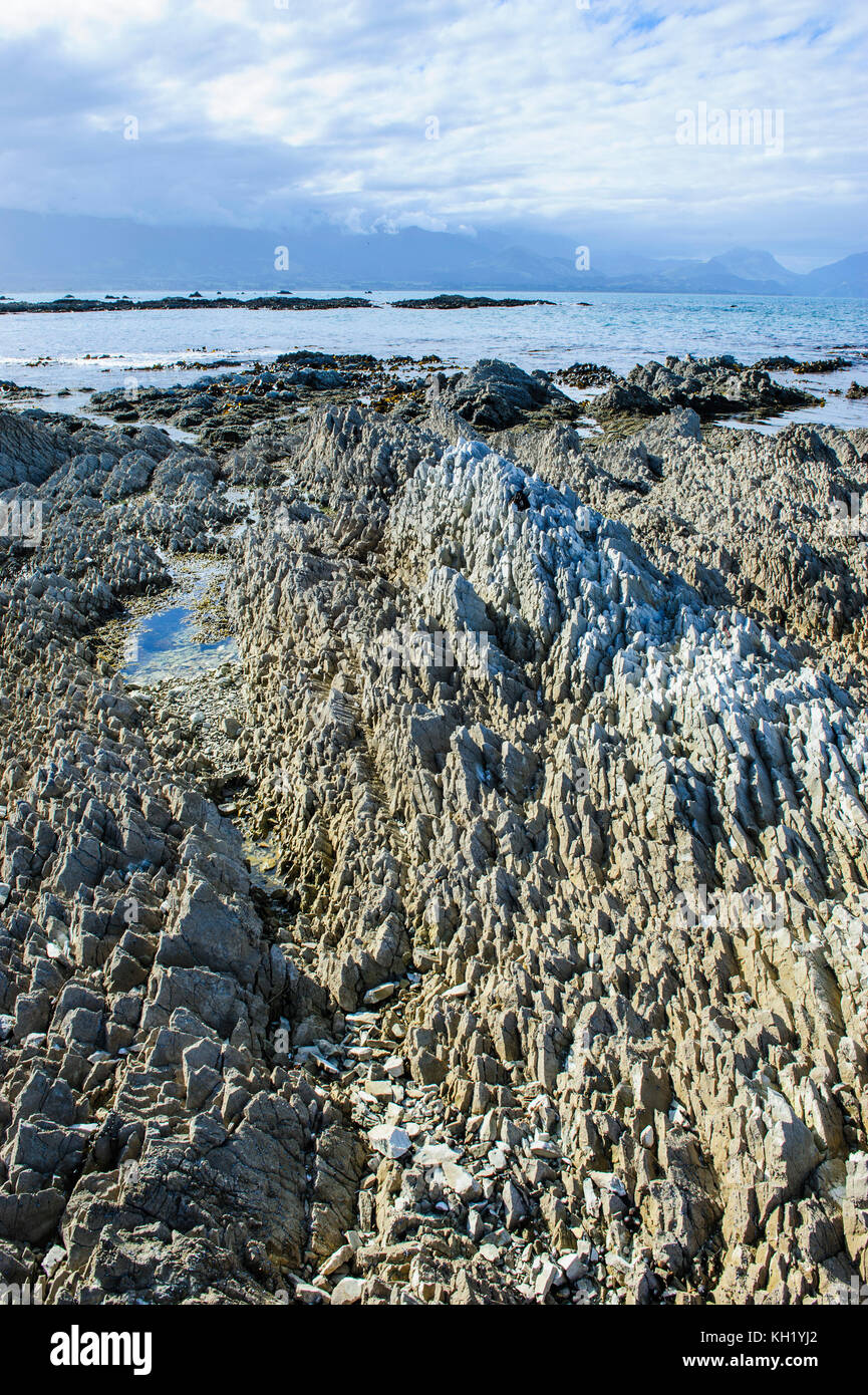 Beautiful limestone formations on the Kaikoura Peninsula, South island ...
