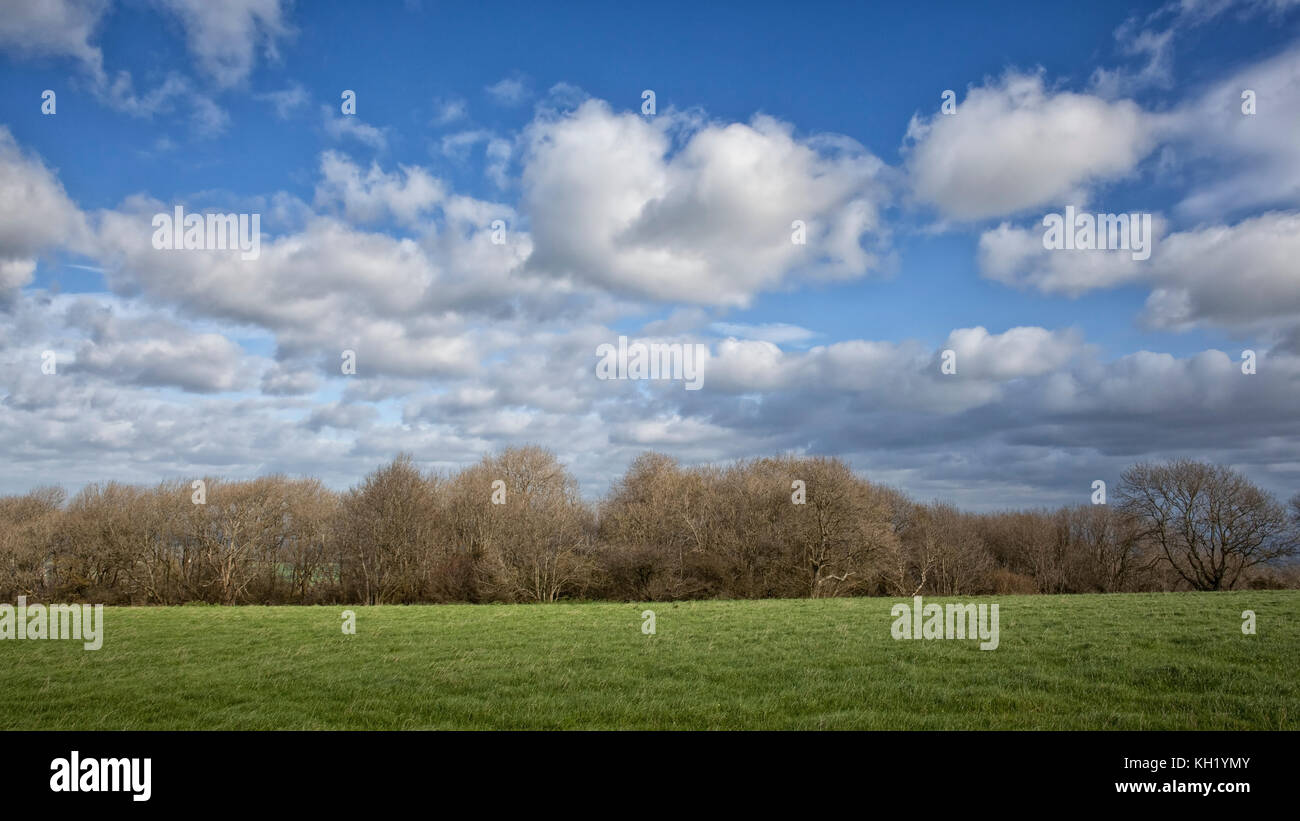 View on the South Downs Way near Pyecombe, West Sussex Stock Photo - Alamy