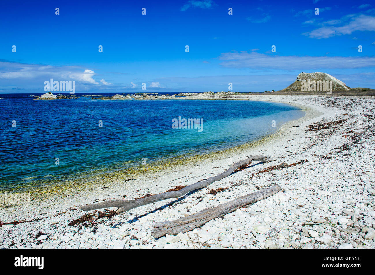 Limestone rocky beach on the clear waters of Kaikoura Peninsula, South ...