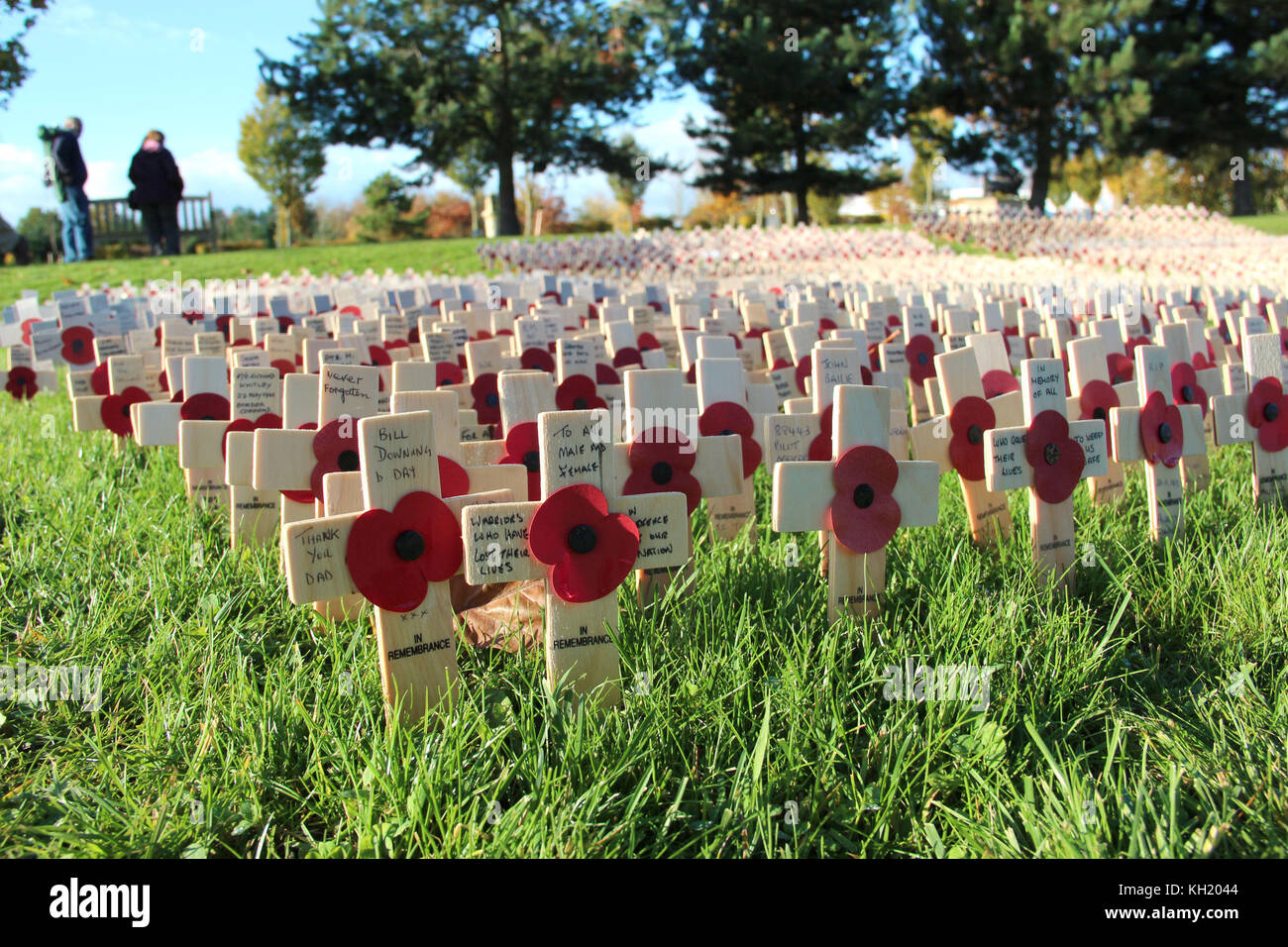 Poppy crosses laid at the Field of Remembrance at the National Memorial ...