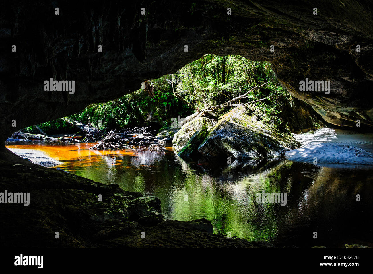 Moria gate arch in the Oparara Basin, Karamea, South Island, New ...