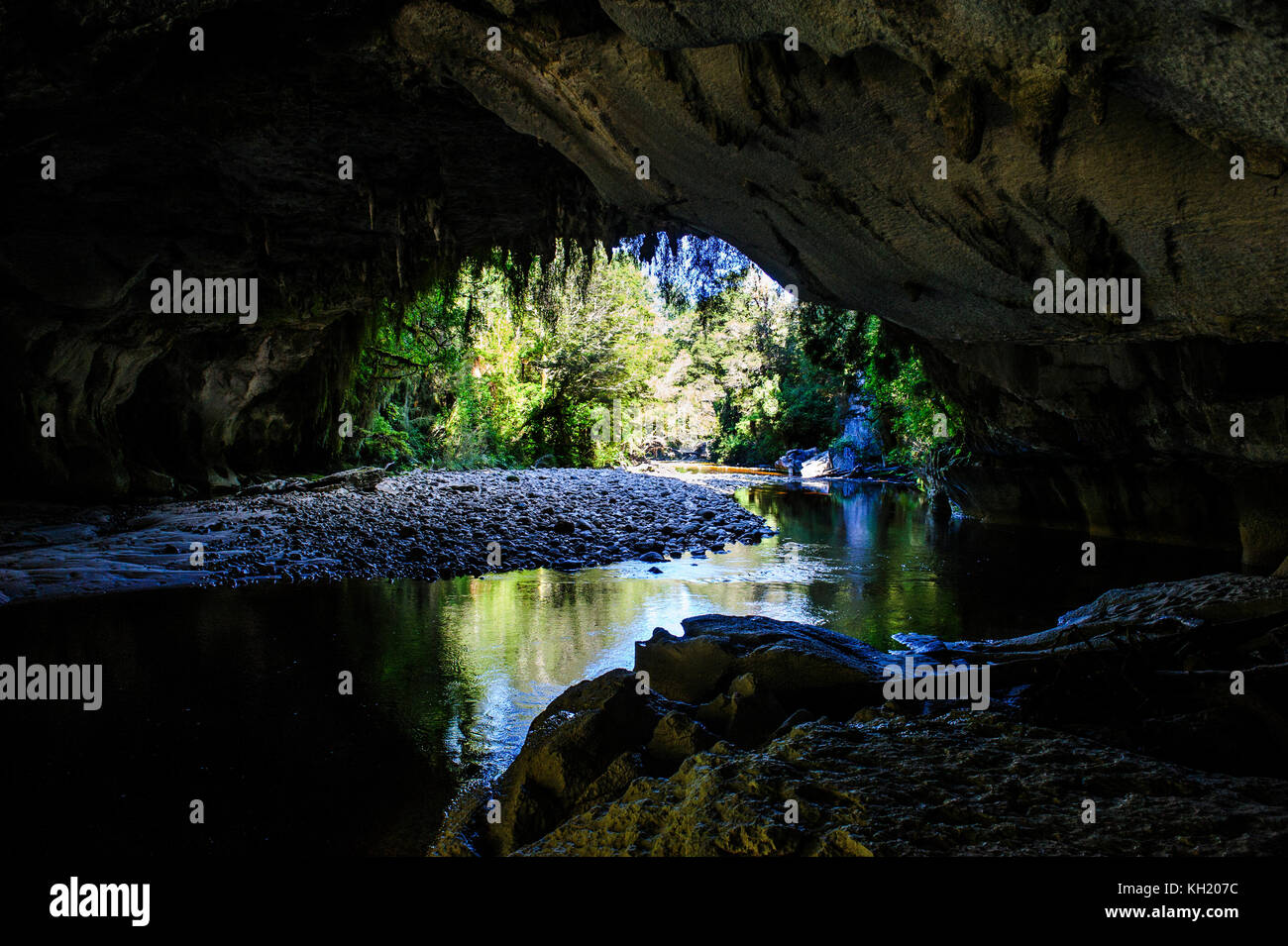 Moria gate arch in the Oparara Basin, Karamea, South Island, New ...
