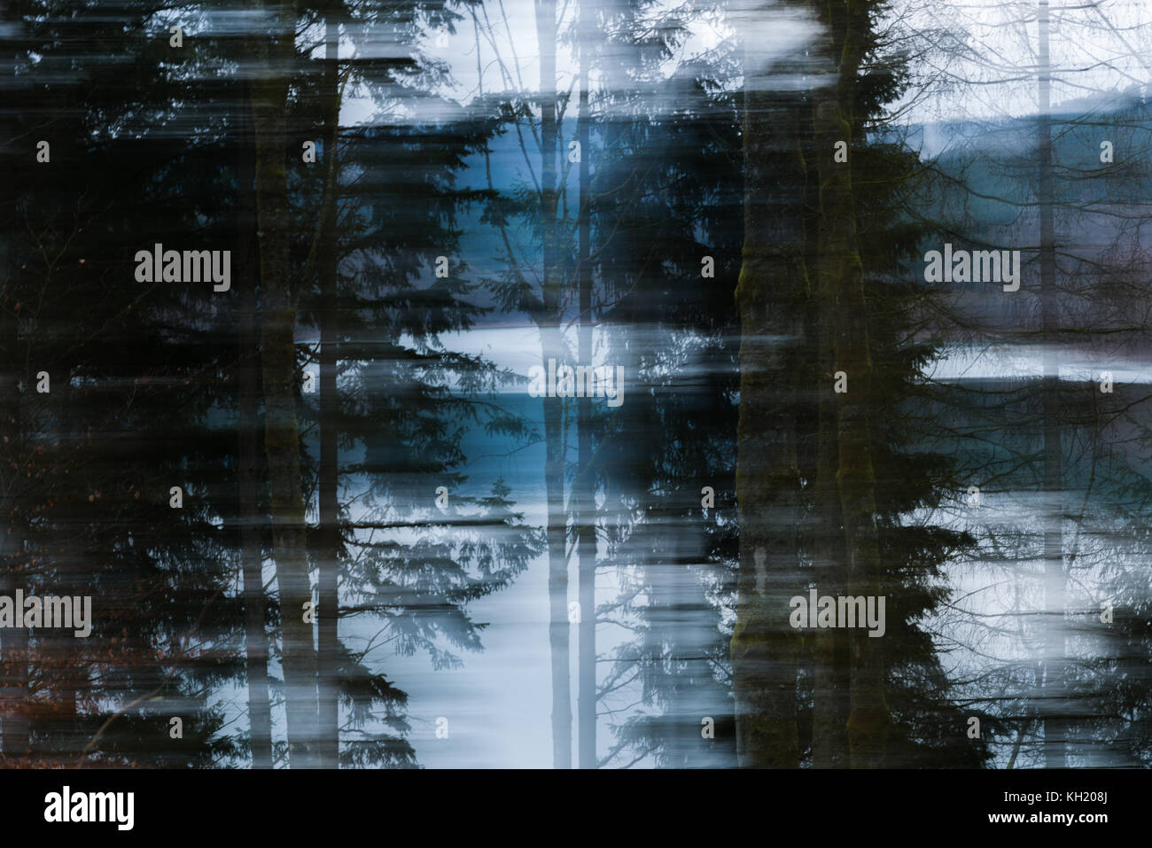 Forest near a Lake with fading Trees Stock Photo - Alamy