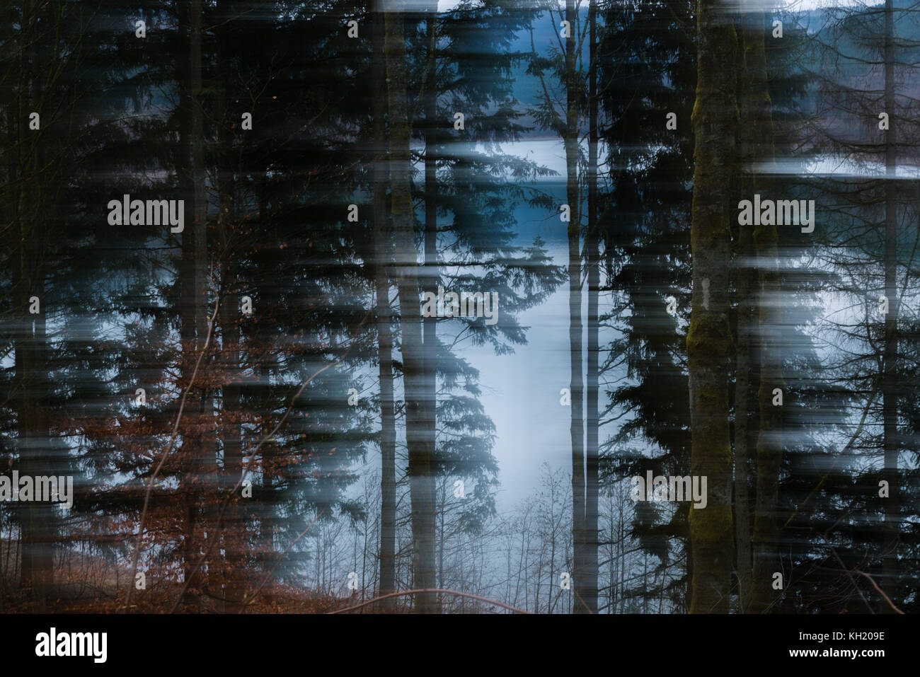 Forest near a Lake with fading Trees Stock Photo - Alamy