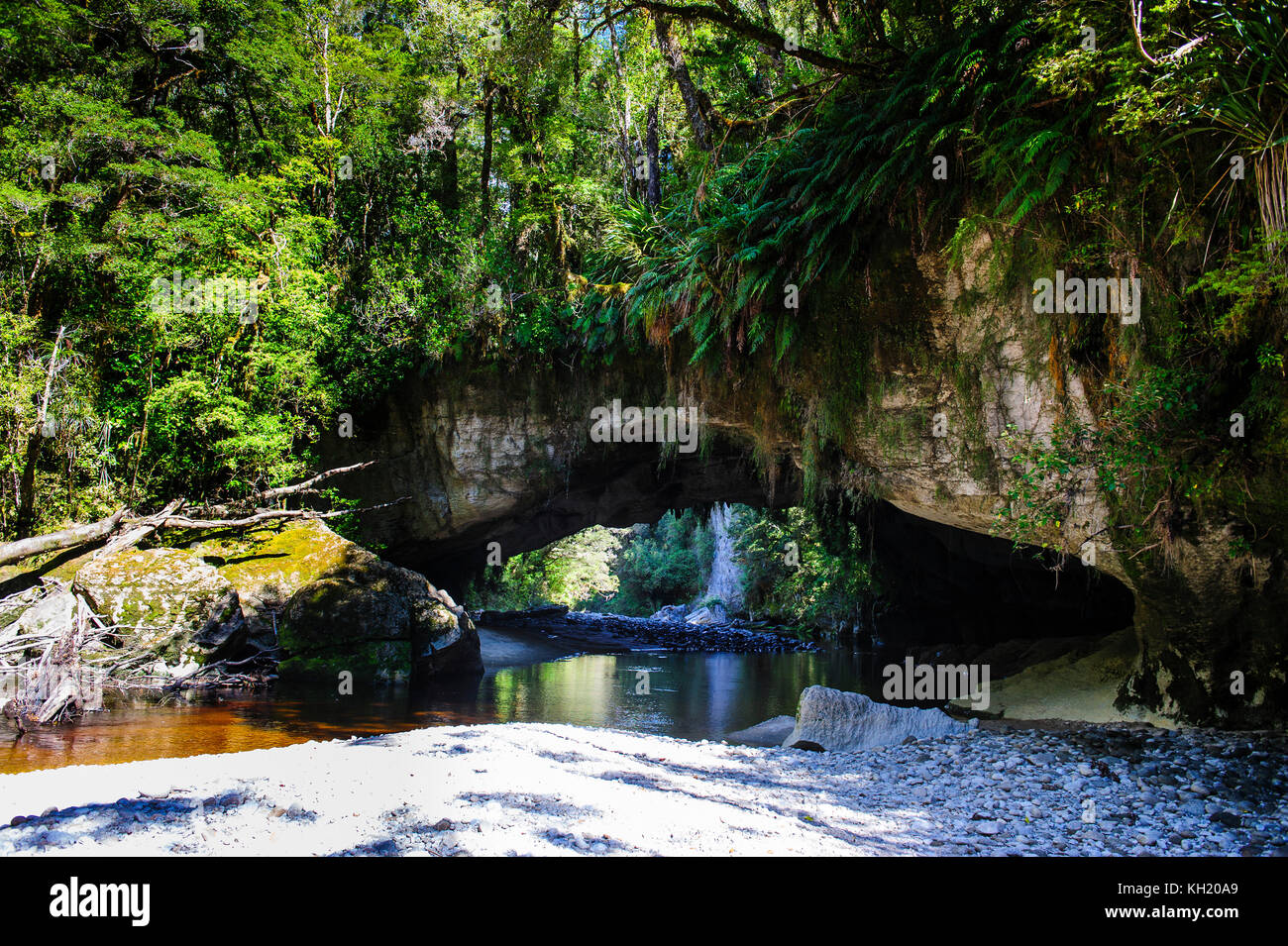 Moria gate arch in the Oparara Basin, Karamea, South Island, New ...