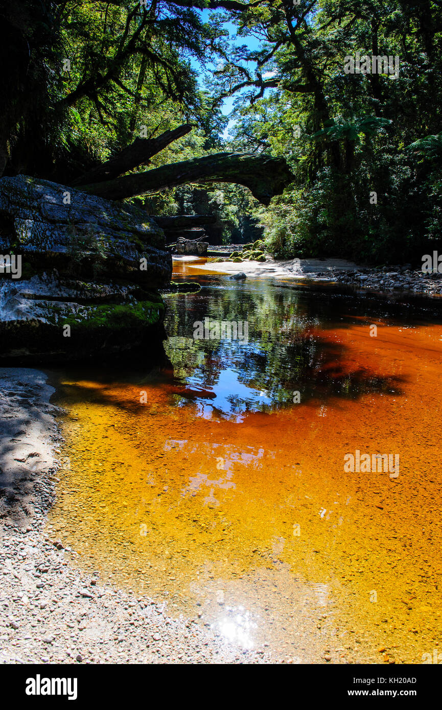 Moria gate arch in the Oparara Basin, Karamea, South Island, New ...