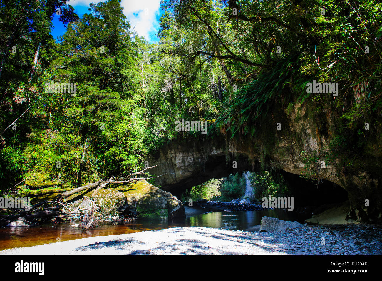 Moria gate arch in the Oparara Basin, Karamea, South Island, New ...