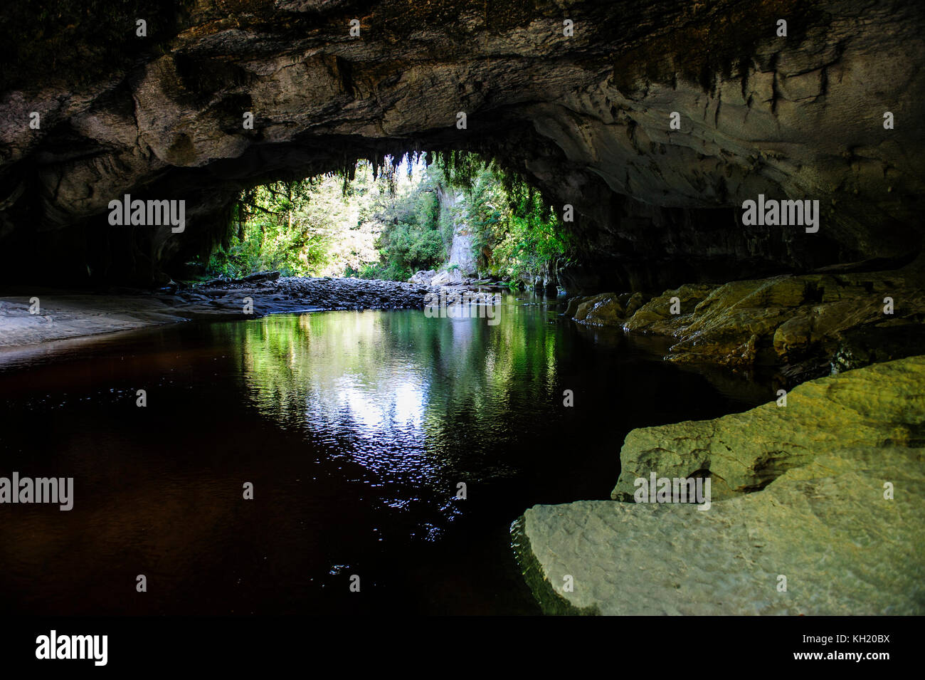 Moria gate arch in the Oparara Basin, Karamea, South Island, New ...