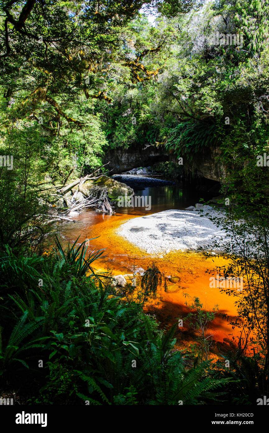 Oparara arch in the Oparara Basin, Karamea, South island, New Zealand ...
