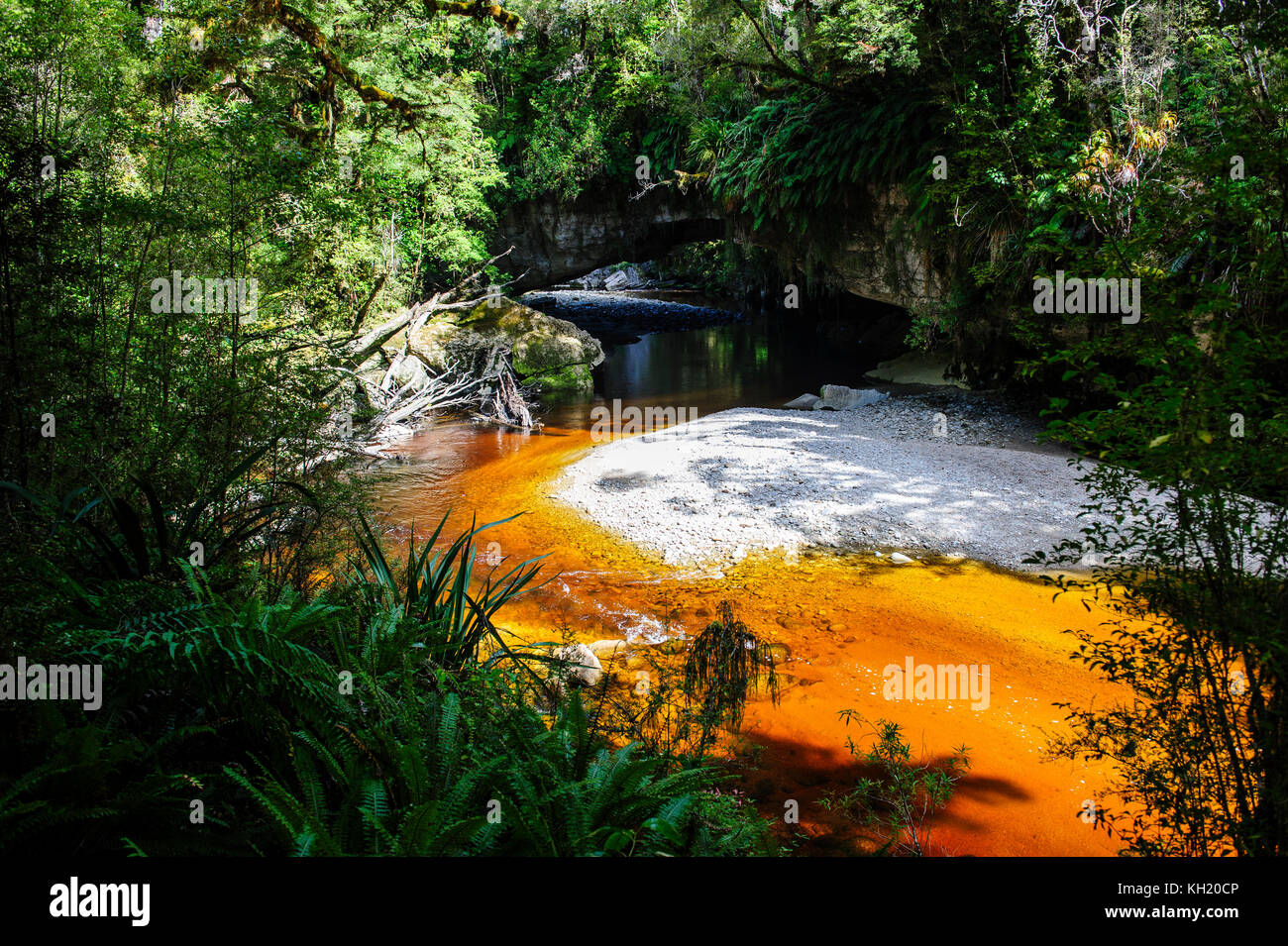 Oparara arch in the Oparara Basin, Karamea, South island, New Zealand ...