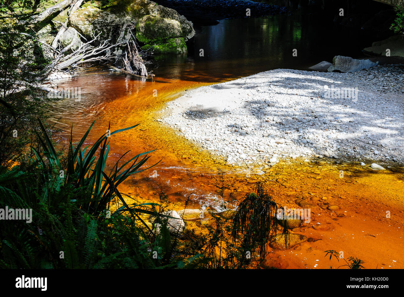 Oparara arch in the Oparara Basin, Karamea, South island, New Zealand ...