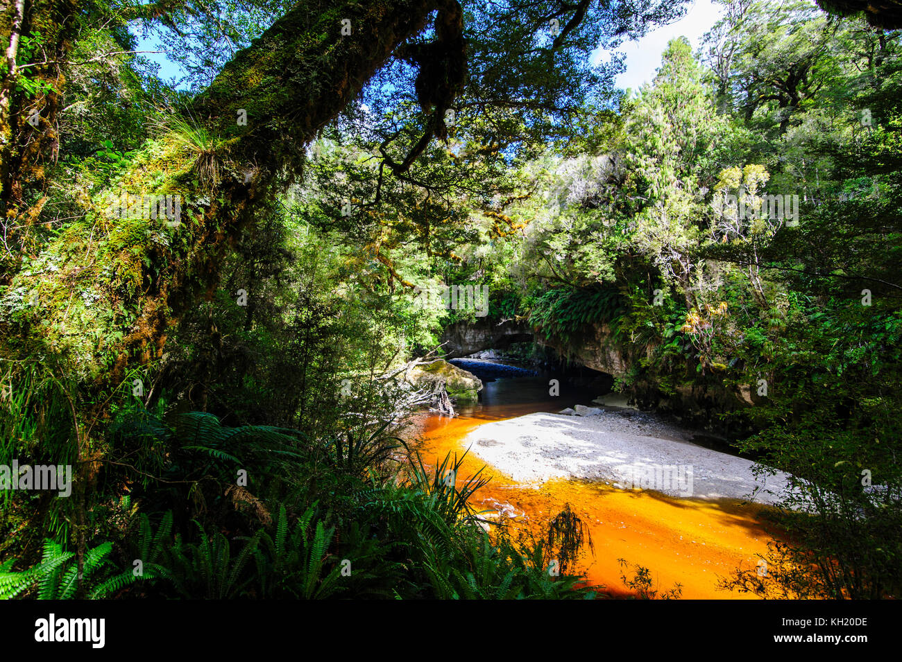Oparara arch in the Oparara Basin, Karamea, South island, New Zealand ...