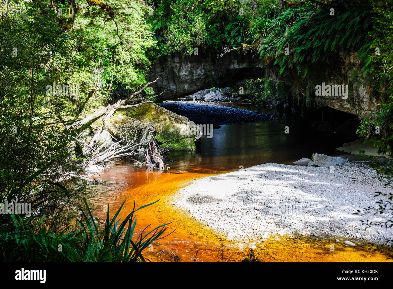 Oparara arch in the Oparara Basin, Karamea, South island, New Zealand ...