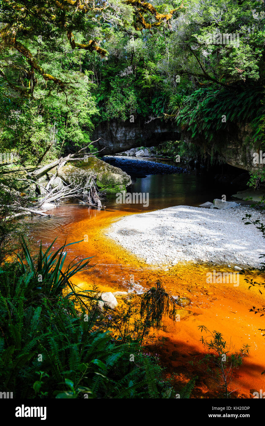 Oparara arch in the Oparara Basin, Karamea, South island, New Zealand ...