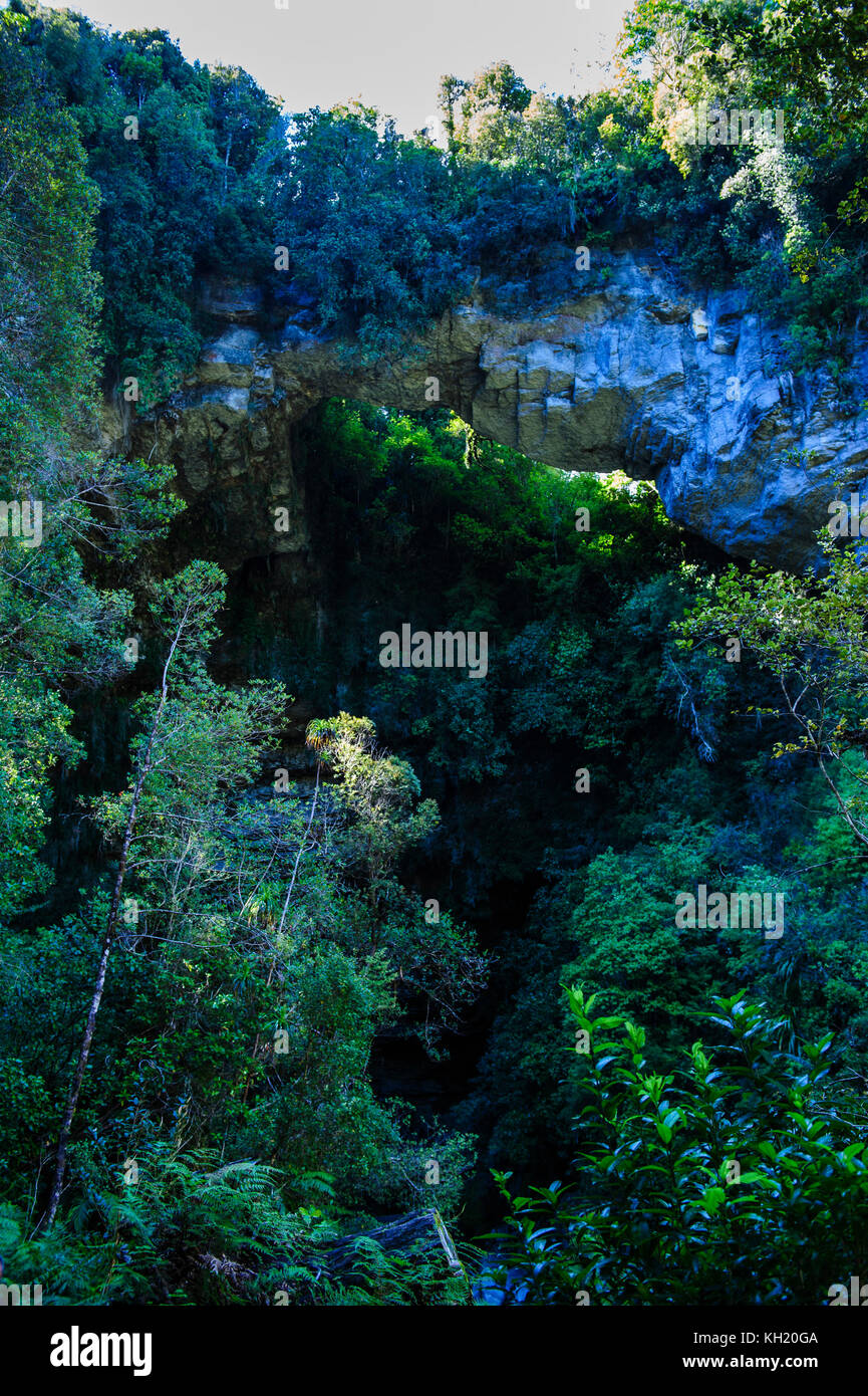 Oparara arch in the Oparara Basin, Karamea, South island, New Zealand ...