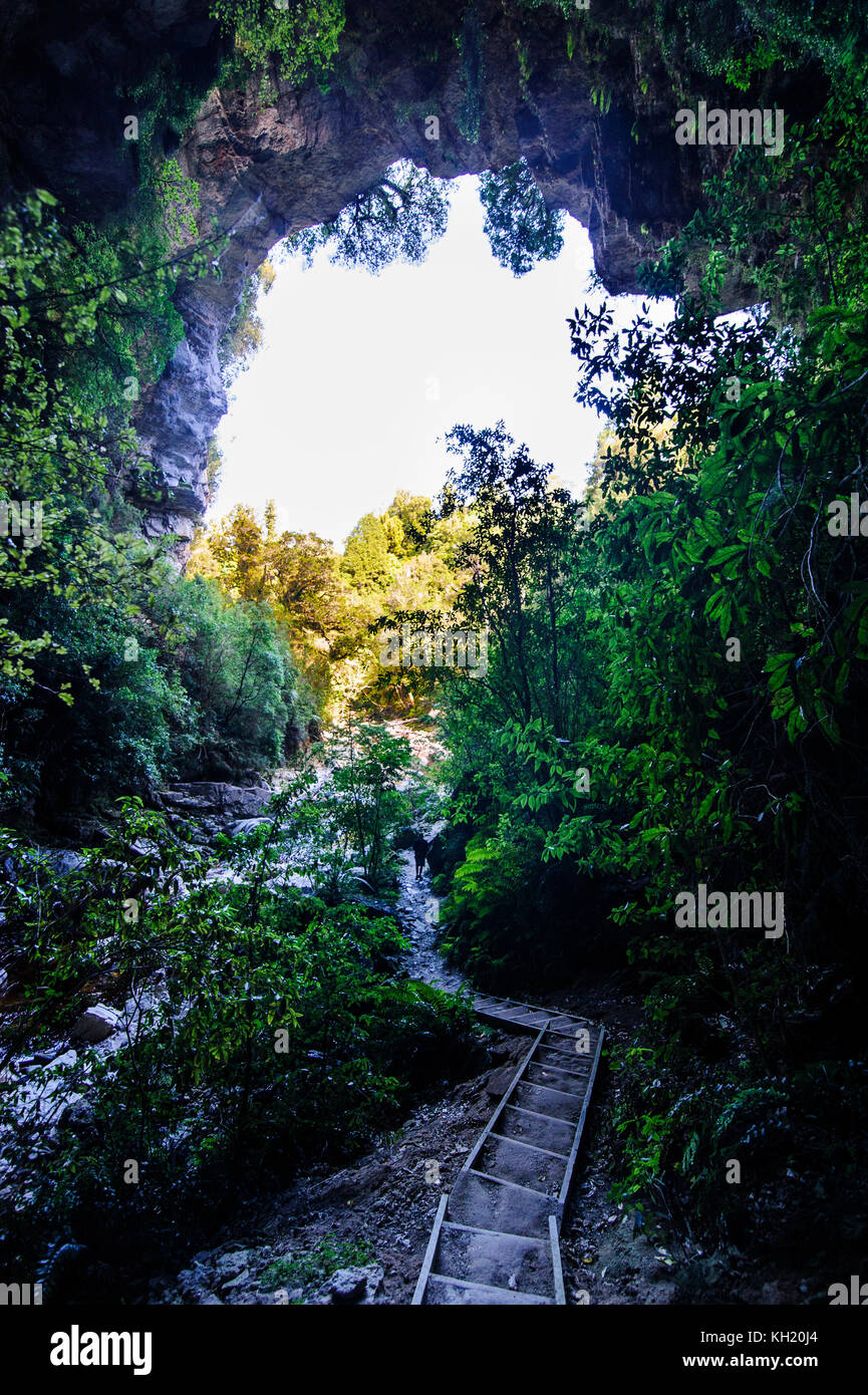 Oparara arch in the Oparara Basin, Karamea, South island, New Zealand ...
