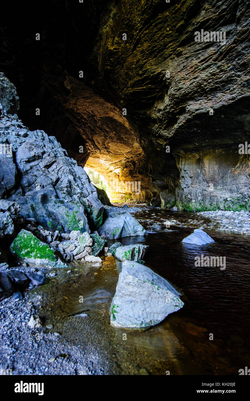 Oparara arch in the Oparara Basin, Karamea, South island, New Zealand ...