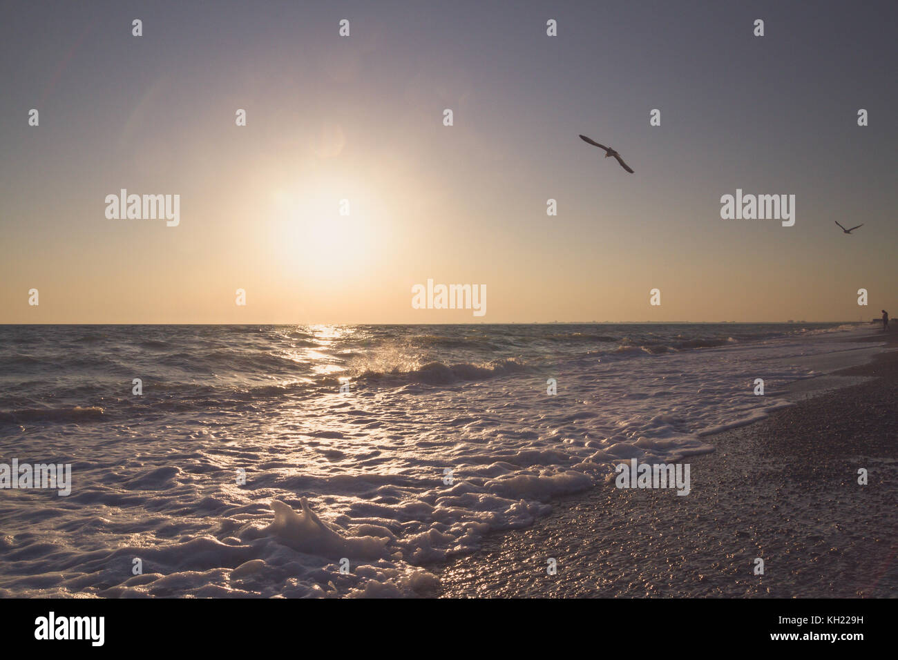 Beautiful sunset on the summer sea Stock Photo - Alamy